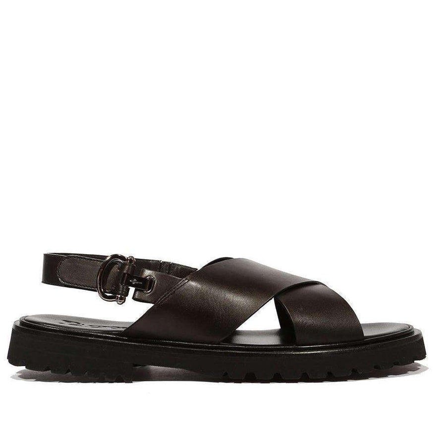Paciotti Collection: Elegance Redefined – mensitalianshoes.com